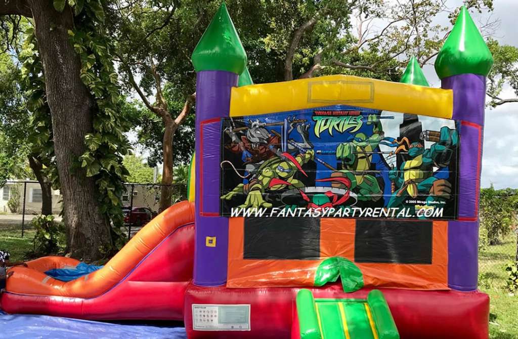 Ninja Turtle Combo 6 in 1 Slide For Toddlers - Fantasy Party Rental ...